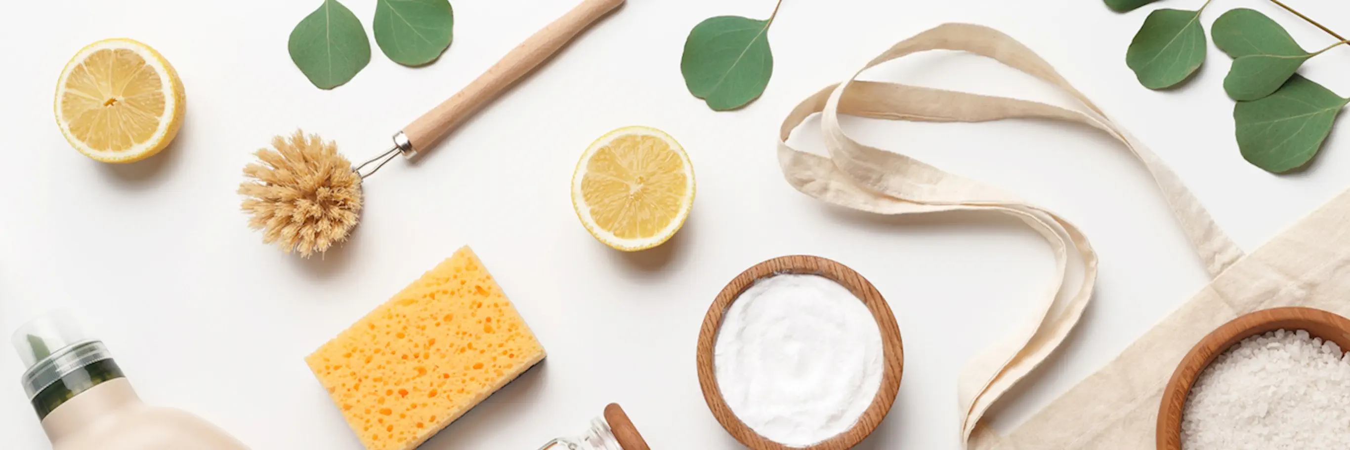 5 Natural Products and Their Surprising Uses | FWD Life PH
